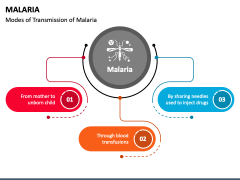 Free Malaria PowerPoint and Google Slides Template - PPT Slides
