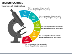 Microorganisms PowerPoint and Google Slides Template - PPT Slides