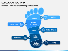 Ecological Footprints PowerPoint and Google Slides Template - PPT Slides