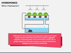 Hydroponics PowerPoint and Google Slides Template - PPT Slides
