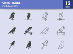 Parrot Icons for PowerPoint and Google Slides - PPT Slides