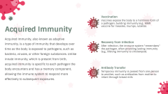 Acquired Immunity PowerPoint and Google Slides Template - PPT Slides