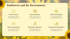 Free - Sunflower Theme for PowerPoint and Google Slides - PPT Slides