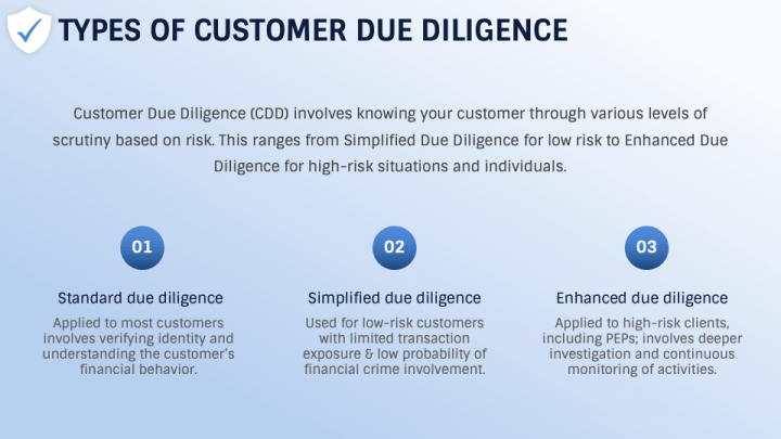 Customer Due Diligence PowerPoint and Google Slides Template - PPT Slides
