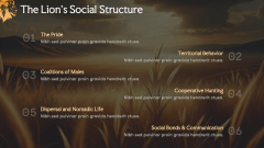 Free - Lion Presentation for PowerPoint and Google Slides - PPT Slides