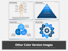 Lymphatic System PowerPoint and Google Slides Template - PPT Slides