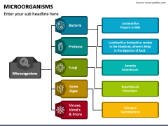 Microorganisms PowerPoint and Google Slides Template - PPT Slides