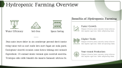 Hydroponic Farming Business Plan PowerPoint and Google Slides Template