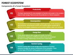 Forest Ecosystem PowerPoint and Google Slides Template - PPT Slides