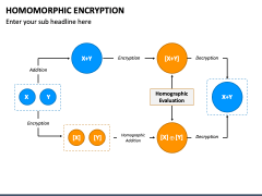Homomorphic Encryption PowerPoint and Google Slides Template - PPT Slides