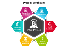 Incubation PowerPoint and Google Slides Template - PPT Slides