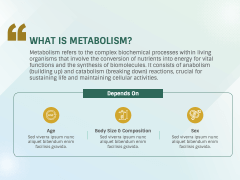 Metabolism PowerPoint and Google Slides Template - PPT Slides
