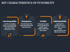 Fungibility PowerPoint and Google Slides Template - PPT Slides