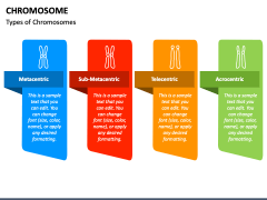 Chromosome PowerPoint and Google Slides Template - PPT Slides
