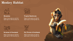 Free - Monkey Presentation for PowerPoint and Google Slides - PPT Slides
