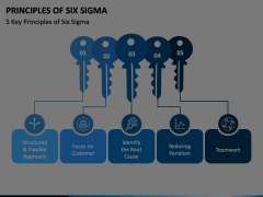 Principles of Six Sigma PowerPoint and Google Slides Template - PPT Slides