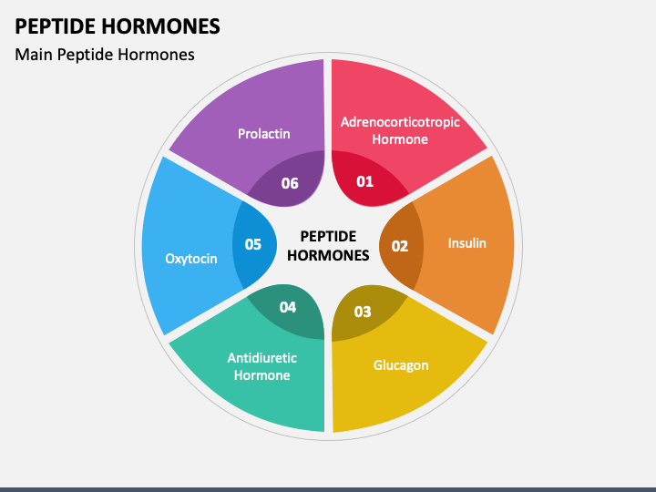 Peptide Hormones PowerPoint and Google Slides Template - PPT Slides