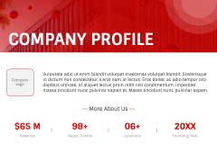 Red Pitch Deck for PowerPoint and Google Slides - PPT Slides