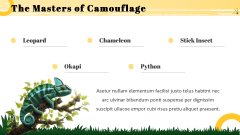 Free - Wild Animals Presentation for PowerPoint and Google Slides - PPT ...