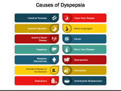 Dyspepsia PowerPoint and Google Slides Template - PPT Slides