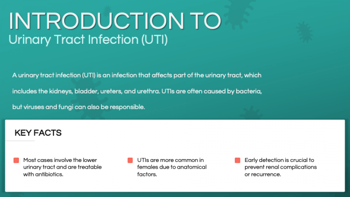 Urinary Tract Infection PowerPoint and Google Slides Template - PPT Slides