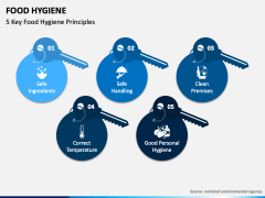 Food Hygiene PowerPoint and Google Slides Template - PPT Slides