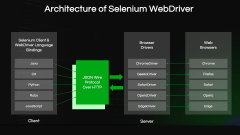 Selenium Testing PowerPoint and Google Slides Template - PPT Slides
