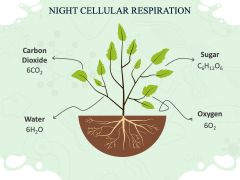 Free - Biology For High School PowerPoint Template and Google Slides Theme