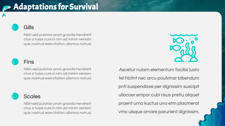 Free - Fish Presentation for PowerPoint and Google Slides - PPT Slides