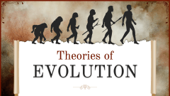 Theories of Evolution PowerPoint and Google Slides Template - PPT Slides