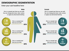 Demographic Segmentation PowerPoint and Google Slides Template - PPT Slides