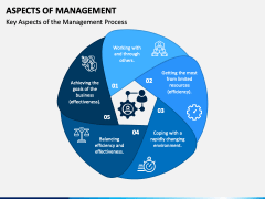 Aspects of Management PowerPoint and Google Slides Template - PPT Slides