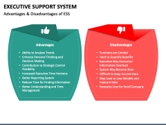 Executive Support System PowerPoint and Google Slides Template - PPT Slides