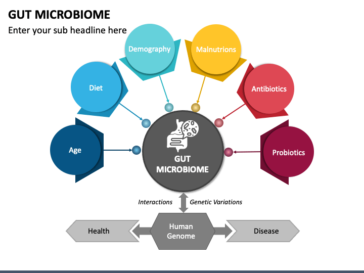 Gut Microbiome PowerPoint and Google Slides Template - PPT Slides