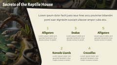 Free - Zoo Presentation Theme for PowerPoint and Google Slides - PPT Slides