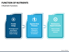 Function of Nutrients PowerPoint and Google Slides Template - PPT Slides