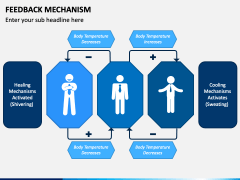 Feedback Mechanism PowerPoint and Google Slides Template - PPT Slides