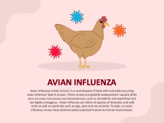 Avian Influenza PowerPoint and Google Slides Template - PPT Slides
