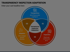 Transparency Inspection Adaptation PowerPoint and Google Slides Template