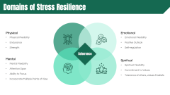 Stress Resilience PowerPoint and Google Slides Template - PPT Slides