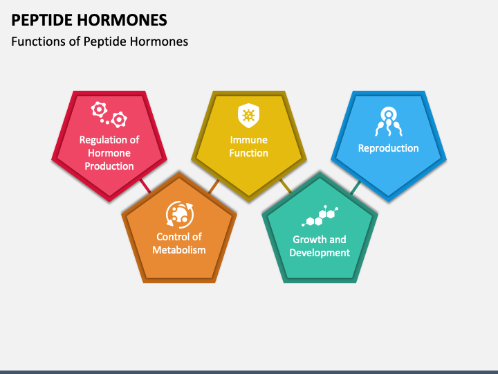Peptide Hormones PowerPoint and Google Slides Template - PPT Slides