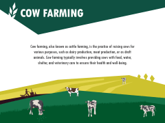 Cow Farming PowerPoint and Google Slides Template - PPT Slides