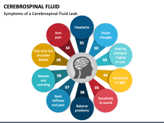 Cerebrospinal Fluid PowerPoint and Google Slides Template - PPT Slides