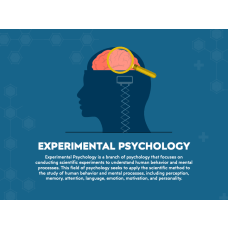 Psychology PowerPoint & Google Slides Templates