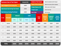 Project Budget PowerPoint and Google Slides Template - PPT Slides