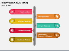 Ribonucleic Acid (RNA) PowerPoint and Google Slides Template - PPT Slides