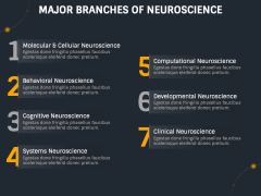 Neuroscience PowerPoint and Google Slides Template - PPT Slides