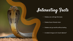 Free - Snake Presentation for PowerPoint and Google Slides - PPT Slides