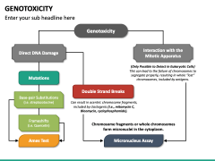 Genotoxicity PowerPoint and Google Slides Template - PPT Slides