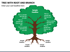 Tree with Root and Branch for PowerPoint and Google Slides - PPT Slides
